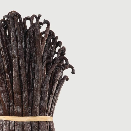 MATIERE PREMIERE Vanilla Powder Extrait » comprar en línea | NICHE BEAUTY